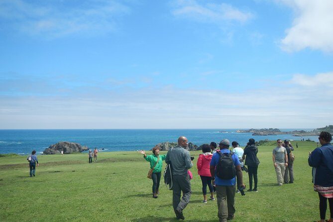 The best morning and Michinoku Shiokaze trail trekking in the Tanesashi Coast natural grassland - A Comprehensive Look at the Tanesashi Coast Morning Touring Experience
