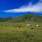 The Best of Anyang Walking Tour - Who Will Get the Most Out of This Tour?