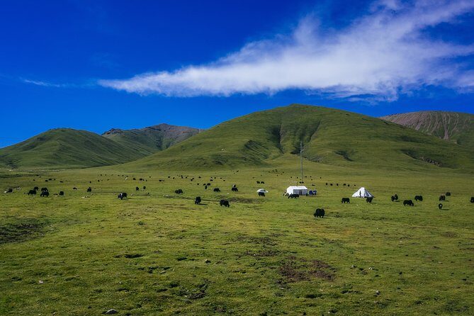 The Best of Anyang Walking Tour - Who Will Get the Most Out of This Tour?