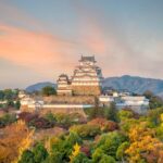The Best of Himeji Walking Tour - What Travelers Say and Why It Matters