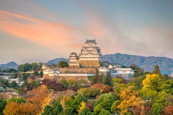 The Best of Himeji Walking Tour - What Travelers Say and Why It Matters