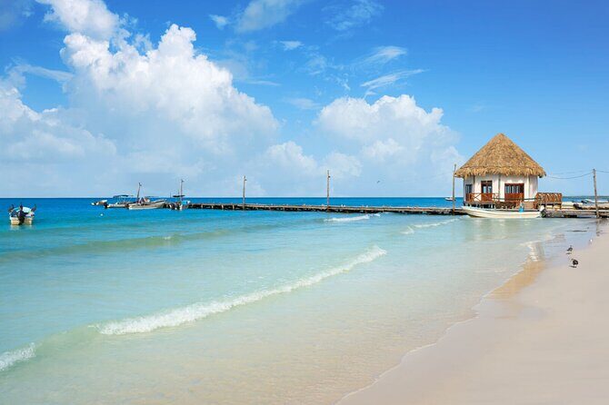 The Best of Holbox Bird Island, Passion Island and Yalahau Cenote - The Value Proposition