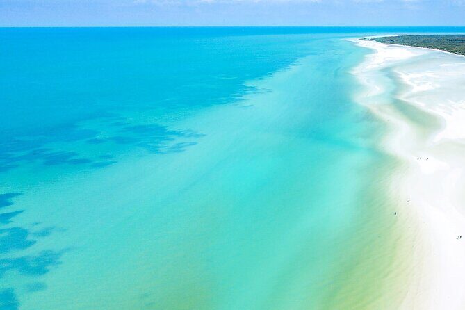 The best of Holbox from Tulum - Authentic Insights from Travelers