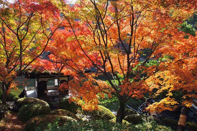 The Best of Wakayama City Private Tour - Who Should Book This Tour?