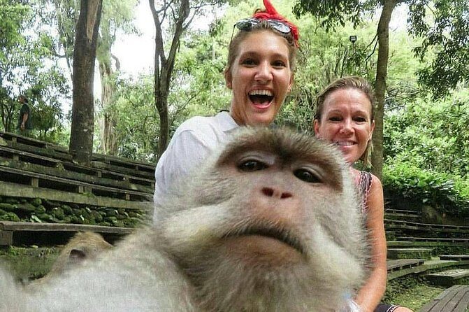 The Best Places to Explore Bali For 2 Days - A Day Two Packed with Adventure & Wildlife