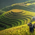 The Best Sapa Tour 2D1N At 3 Star Hotel by sleeping BUS TRANSFER - Deep Dive into the Itinerary