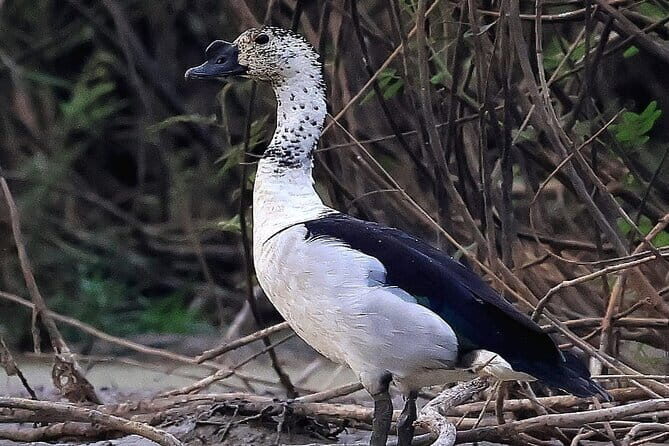 The Bird Watching private Tour and Beyond - The Value of the Experience