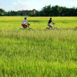 The Charm of Cam Kim by bicycle & visit workshops - Hoi An full day tour - Key Points