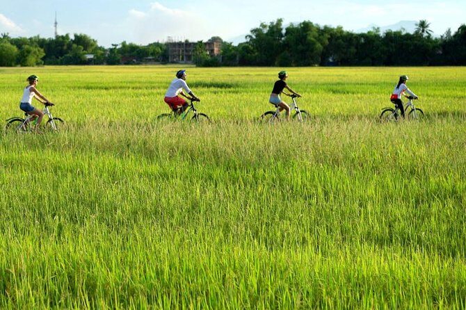 The Charm of Cam Kim by bicycle & visit workshops - Hoi An full day tour - Key Points