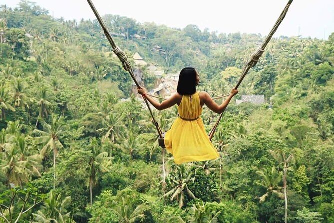 The Gates of Heavan - Ubud Jungle Swing & Waterfall Tour - Who Is This Tour Best For?