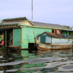 The Iridescent landscape of Tonle Sap - Visiting Flooded Forests and Watery Vegetation