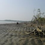 The Jungle Book Trip (The Sundorbon Forest of Bangladesh) - Who This Tour Is Best For