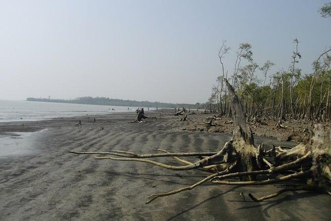 The Jungle Book Trip (The Sundorbon Forest of Bangladesh) - Who This Tour Is Best For