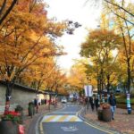 The Lonely and Great God Tour - Seoul Daily City Tour - The Itinerary in Detail: What You’ll See and Experience