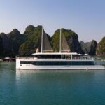 The Most Luxury Day Dour from Hanoi to Halong Bay Full Inclusives - Final Thoughts: Who Should Book This Tour?