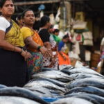 The Mumbai by Dawn Early Morning Tour - The Value of the Experience