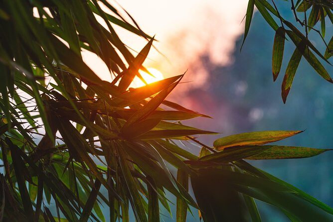 The Namkhan - Outdoor cinema - Why You Should Consider It