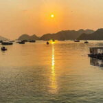 The Newest and Most Luxurious Cruise on the Bay-Day Trip - What Makes This Tour Stand Out?