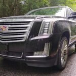 The NON BUS Torch Lake Traverse City Area Wine Tour - The Drawbacks and Considerations