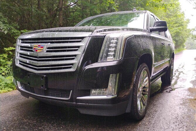 The NON BUS Torch Lake Traverse City Area Wine Tour - The Drawbacks and Considerations