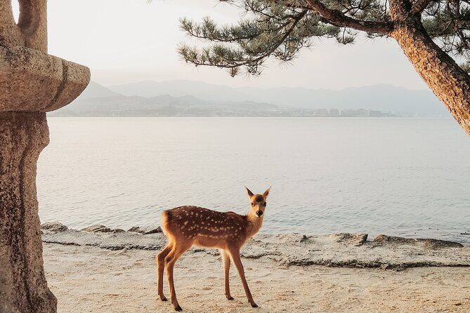 The Peace Memorial to Miyajima : Icons of Peace and Beauty - The Atomic Bomb Dome: A Symbol of Resilience