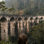 The Pekoe Trail Stage 16- Ella to Demodara - A Deep Dive into the Ella to Demodara Experience