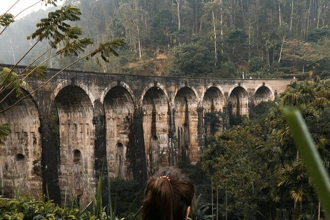 The Pekoe Trail Stage 16- Ella to Demodara - A Deep Dive into the Ella to Demodara Experience