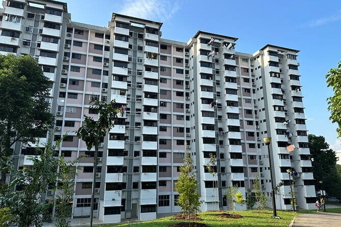 The Real Singapore Heartland Walking Food Tour - Inside a Singaporean HDB Flat