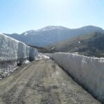 The Rocky Mountain National Park Winter Safari Tour - Why Consider the Rocky Mountain National Park Winter Safari?