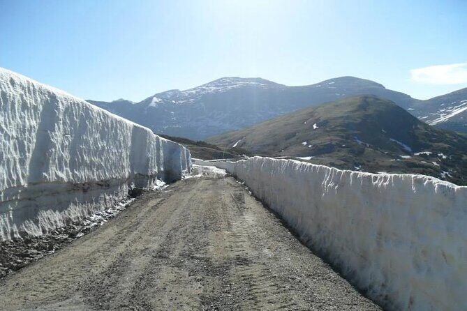 The Rocky Mountain National Park Winter Safari Tour - Why Consider the Rocky Mountain National Park Winter Safari?