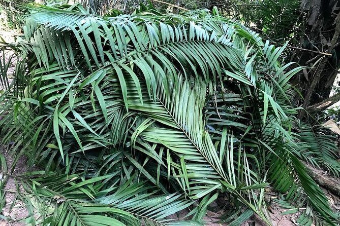 The Ultimate Hikers Choice - 5 days forest trek with homestay and camping - What the Reviews Highlight Most