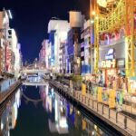 The Ultimate Osaka Shopping Experience: Private And Personalized - Who Will Love This Tour?