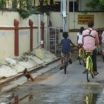 The Unique Pondicherry City Bike Tour - Who Will Love This Bike Tour?