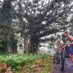 The Volcano Trail - Who Will Love the Volcano Trail?