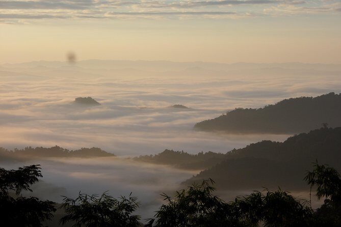 The Wild Explorer - 3 days forest trek with homestay and camping - The Itinerary Breakdown: What to Expect Day by Day