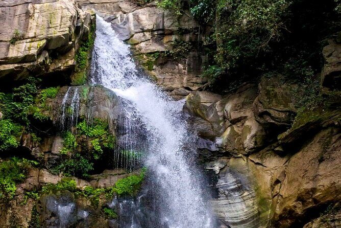 The World`s Most Beautiful Train Trip Kandy to Ella Private Day Tour - Why Some Travelers Were Less Enthusiastic