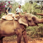 TheActivity that won the Best Tourist Attraction in SriLanka - Why Choose This Tour? The Value and the Experience