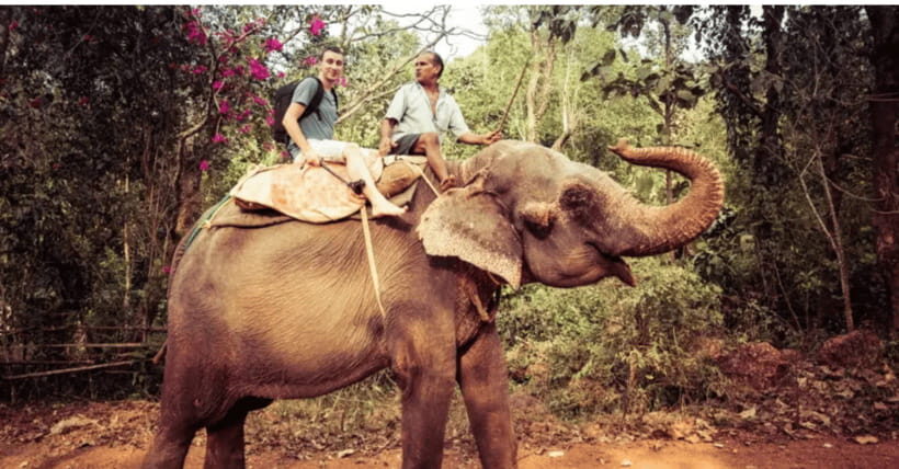 TheActivity that won the Best Tourist Attraction in SriLanka - Why Choose This Tour? The Value and the Experience