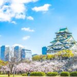 This is The Best Walking Tour, All Must-sees in Osaka! - Detailed Breakdown of the Itinerary