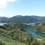 Thousand Island Lake and Pinglin Tea Plantation from Taipei - Practical Details and What It Means for You