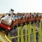 Thrilling Rides & Free Buffet at Siam Amazing Park, Bangkok - The Sum Up