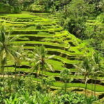 Tickets inclusive: Blessing Bali Tour - What Makes This Tour Stand Out
