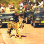 Tiger Safari In Ranthambore Day Trip - Transportation and Group Size