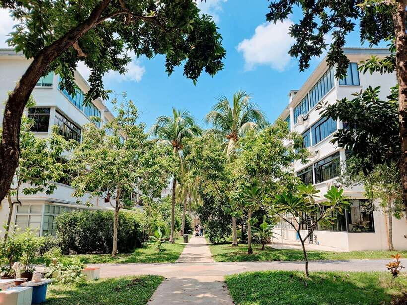 Tiong Bahru: Stories & Snacks in Singapore's Oldest Estate - What’s Included and How It Adds to Your Experience