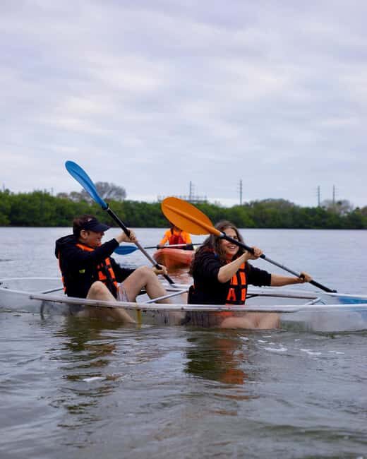 Titusville: Bioluminescent Clear Kayak Tour - A Detailed Look at the Titusville Bioluminescent Kayak Tour