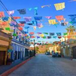 Todos Santos Magical Town Guided Tour - Who Will Love This Tour?