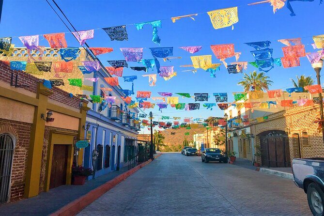 Todos Santos Magical Town Guided Tour - Who Will Love This Tour?
