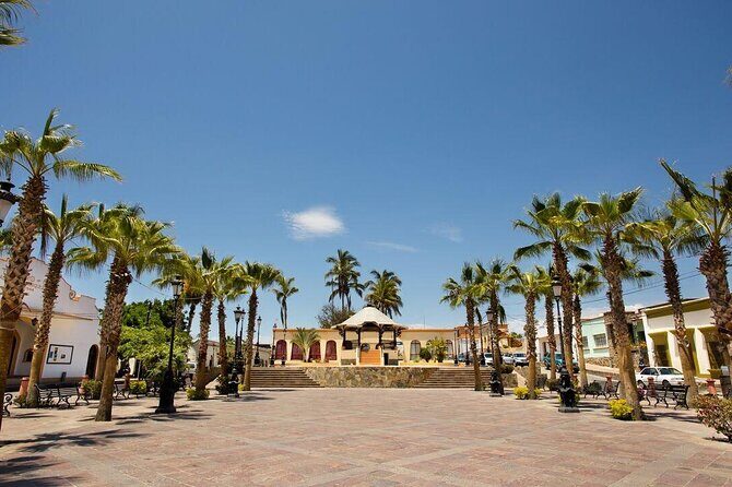 Todos Santos Private 6 hrs 1-08 paxs - FAQs About the Todos Santos Private Tour