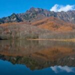 Togakushi: A Serene Walk Through Sacred Forests & Soba Traditions - Who Will Love This Tour?