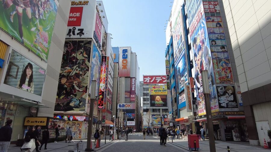 Tokyo Akihabara, Anime, Manga, Video Games & Maid Cafe Tour - The Value of This Tour